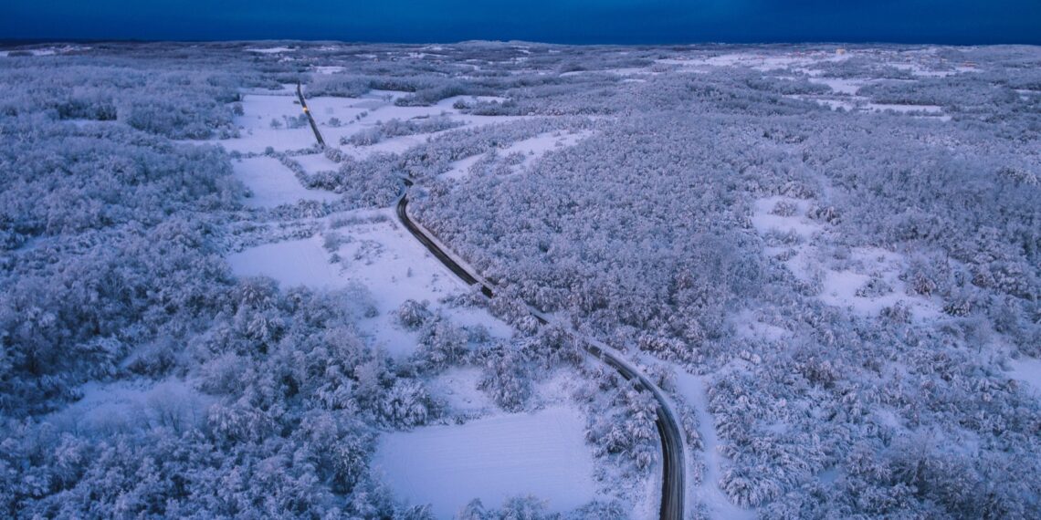 Environment - ECONews