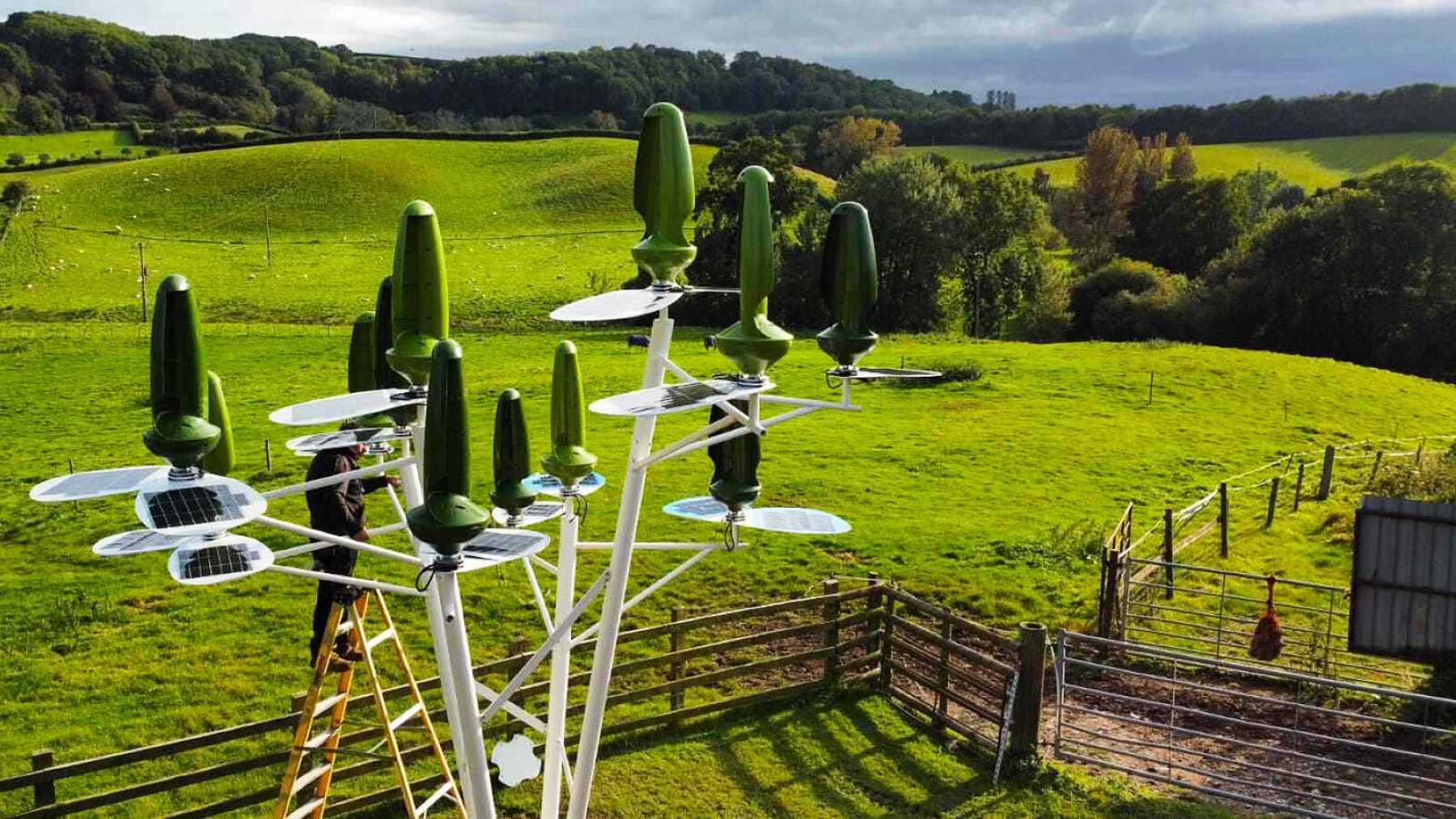 This innovative “wind tree” produces electricity: this is how you get ...