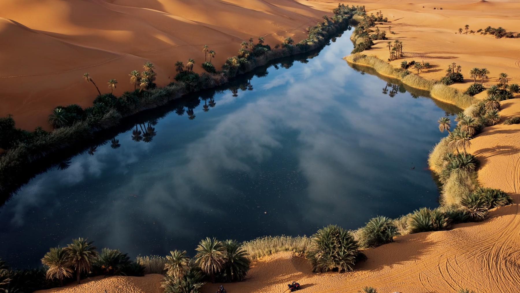 The strange life form that is growing in the Sahara: It comes from the ...