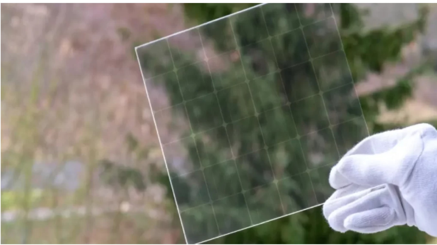The first transparent solar panel has produced a strange effect: It's ...