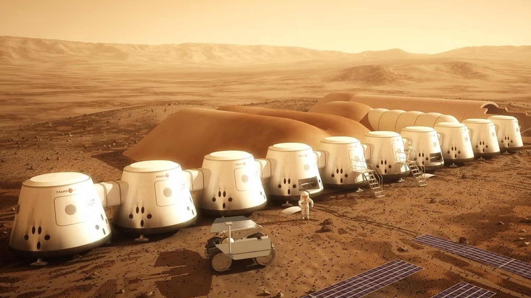 Elon Musk will colonize Mars this year – The world shocked with this ...