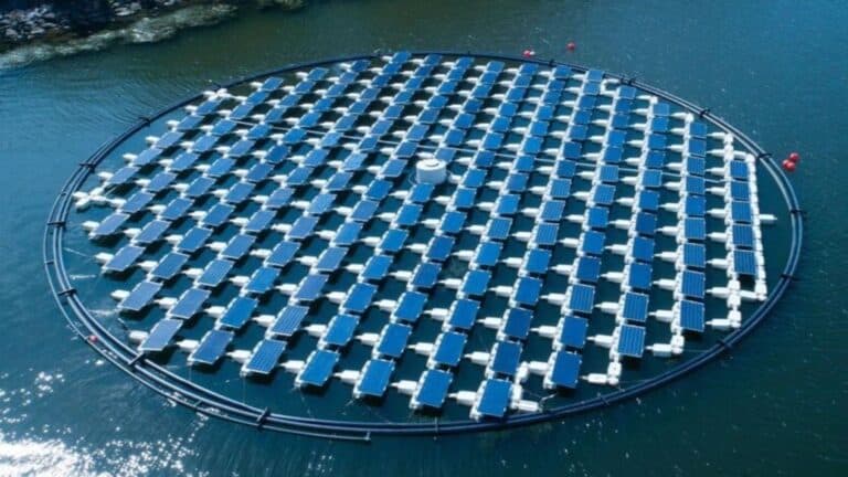 50,000 solar panels on water! Japan just created a new form of energy