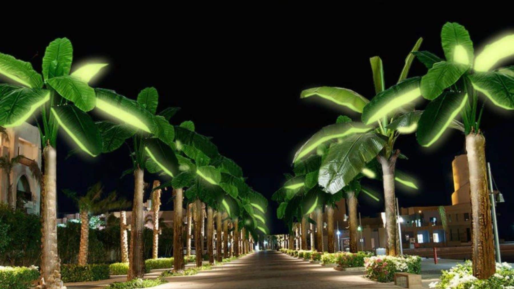 Dubai forgets oil: Now planting photosynthesizing photovoltaic palm trees