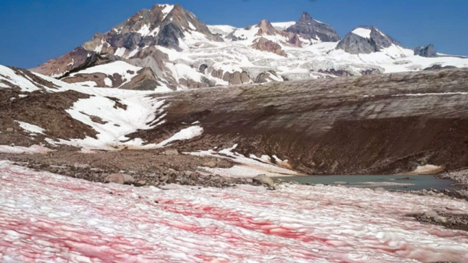 Something worrying is going on — Strange pink snow spotted in America ...