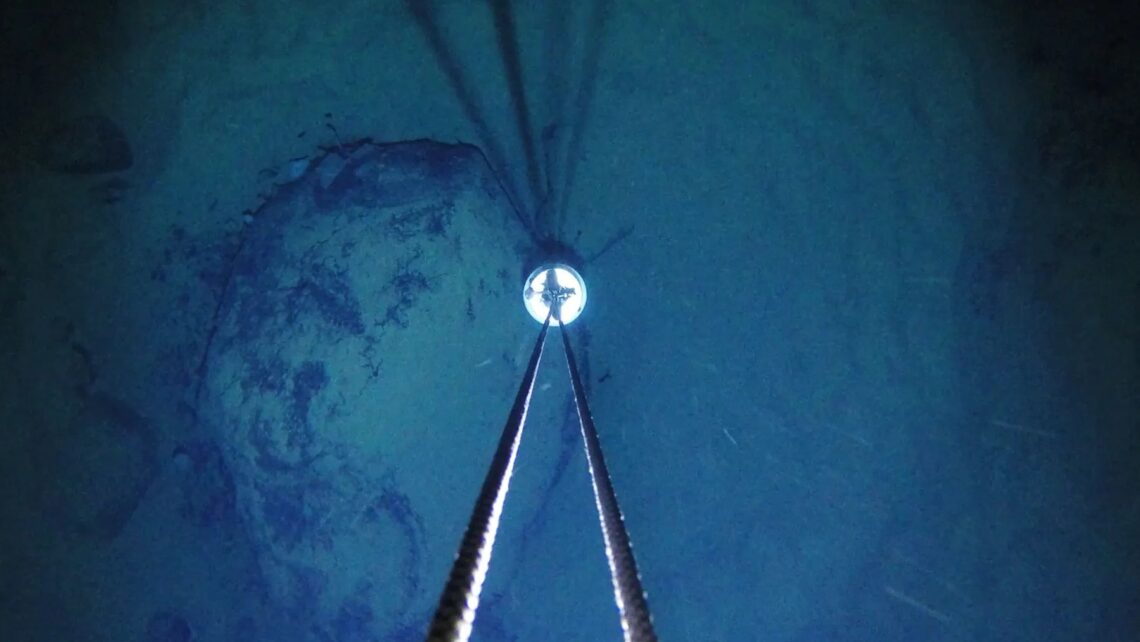 Strange predator spotted 8,000 m deep — This shadowy sea creature lurks ...