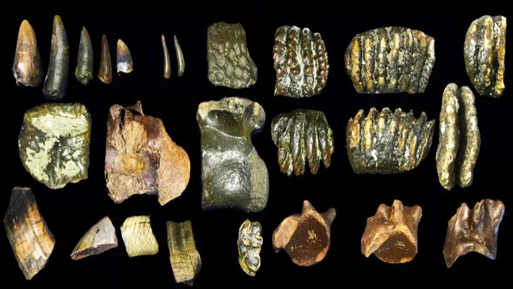 Deep ocean secret unveiled — 140,000-year-old footprints emerge beneath ...