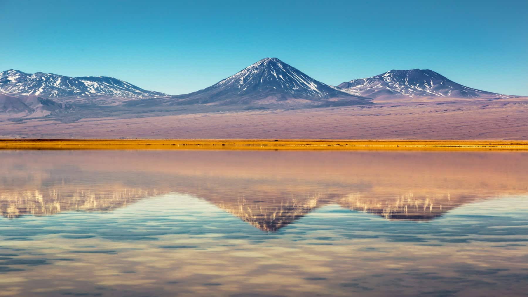 Atacama desert under the spotlight — Experts study 'awakening dormant ...