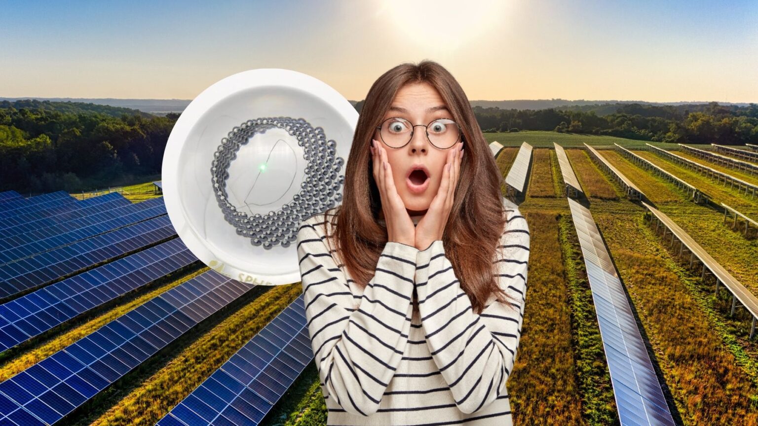 Goodbye to solar panels: Japan has just broken a rule that had remained ...