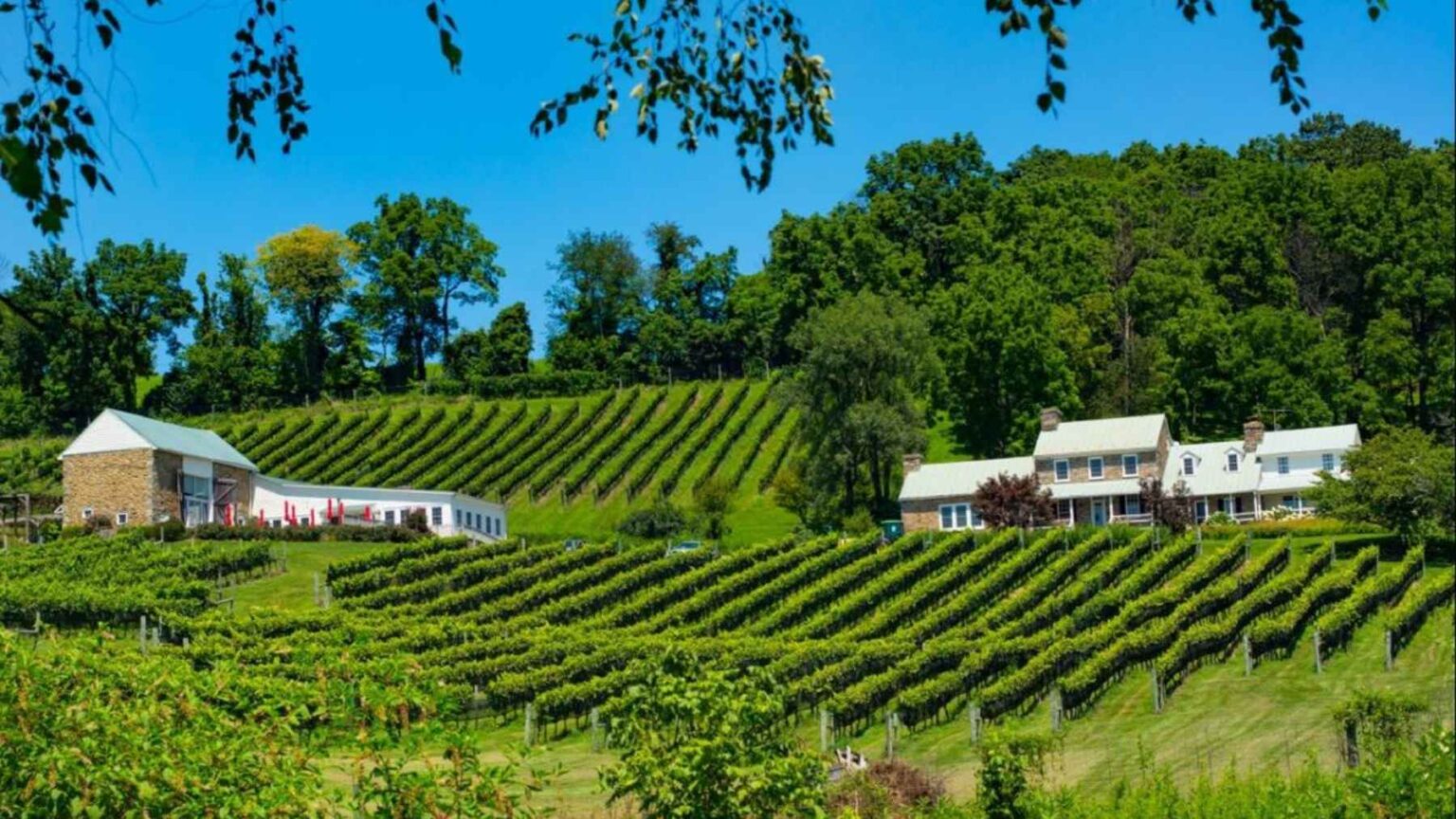 A recently-passed law in Virginia could bankrupt small artisanal ...