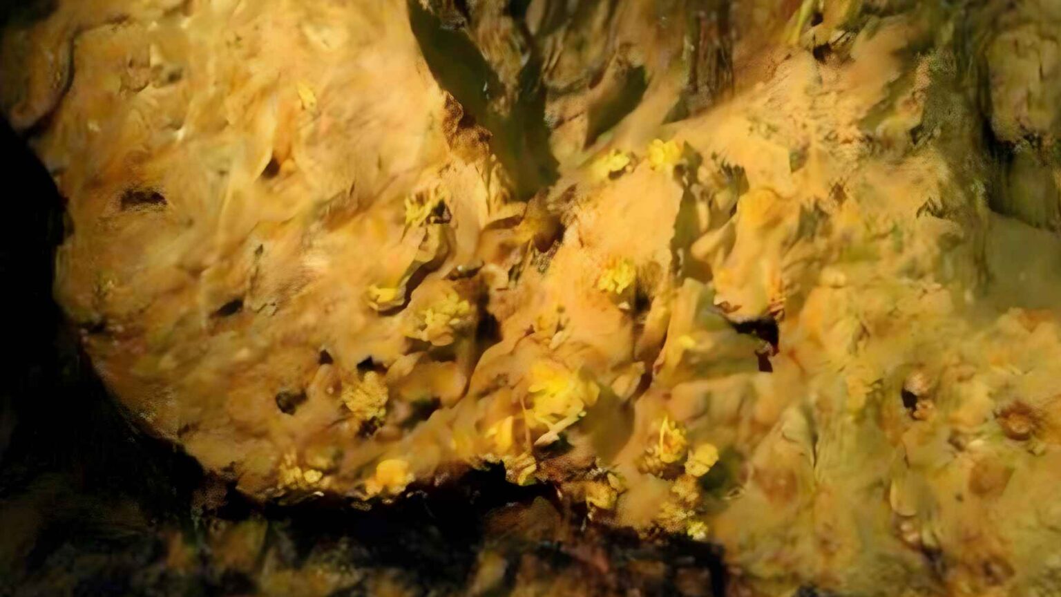 A hidden deposit 2,000 meters underground could contain one of the ...