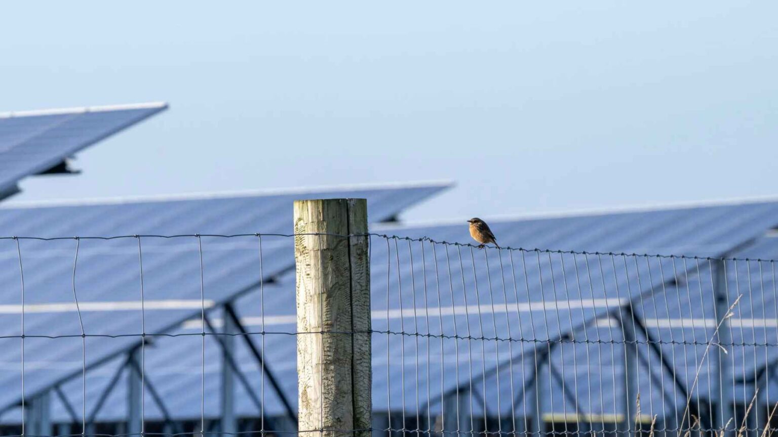 We assumed solar farms wrecked the countryside, but research shows ...