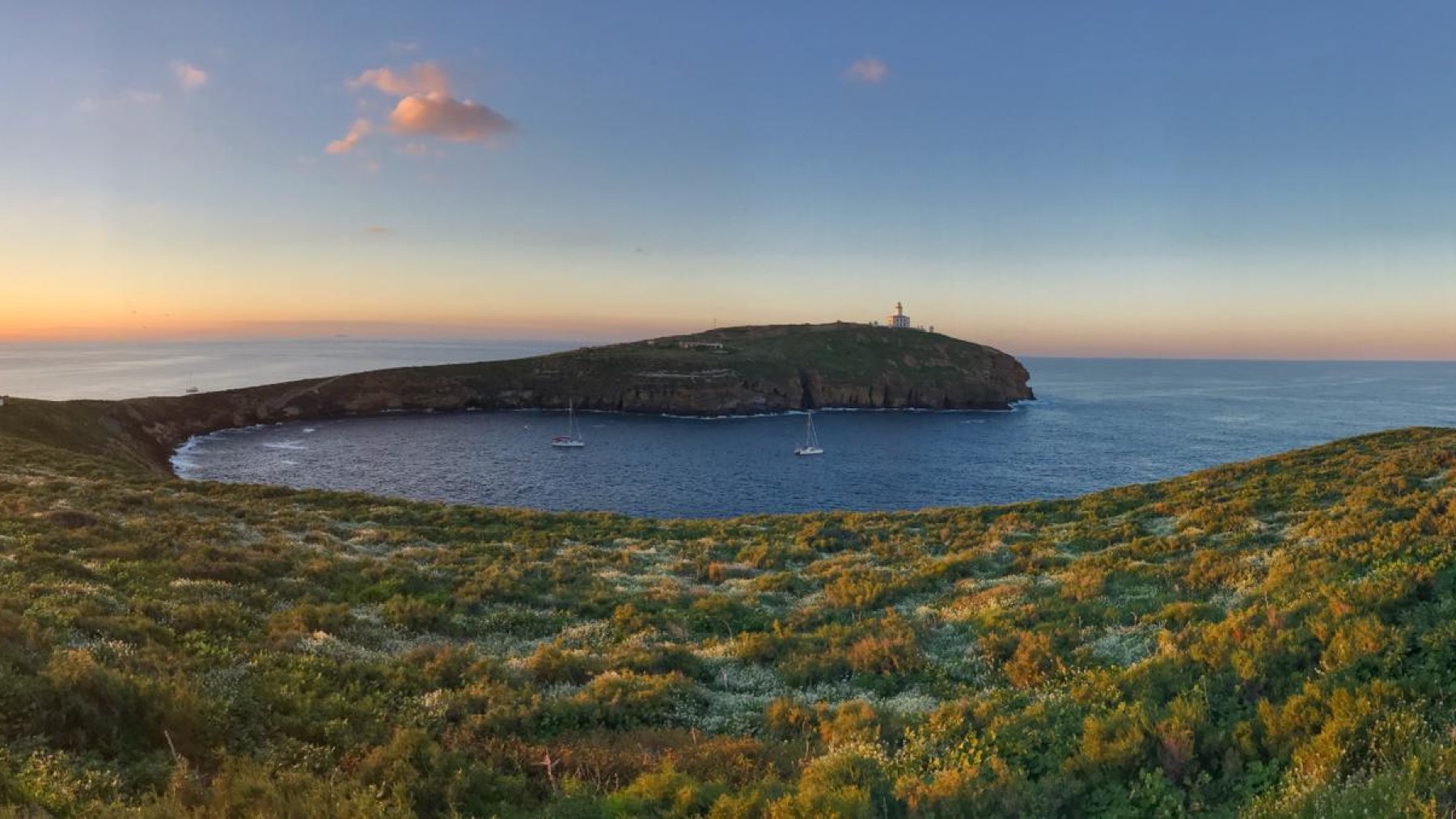 Esta es la isla más inaccesible y desconocida de España: especies de ...