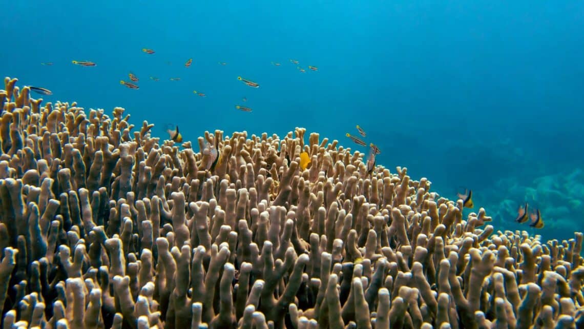 El mundo en vilo ante un colapso inminente: Consecuencias graves en ...
