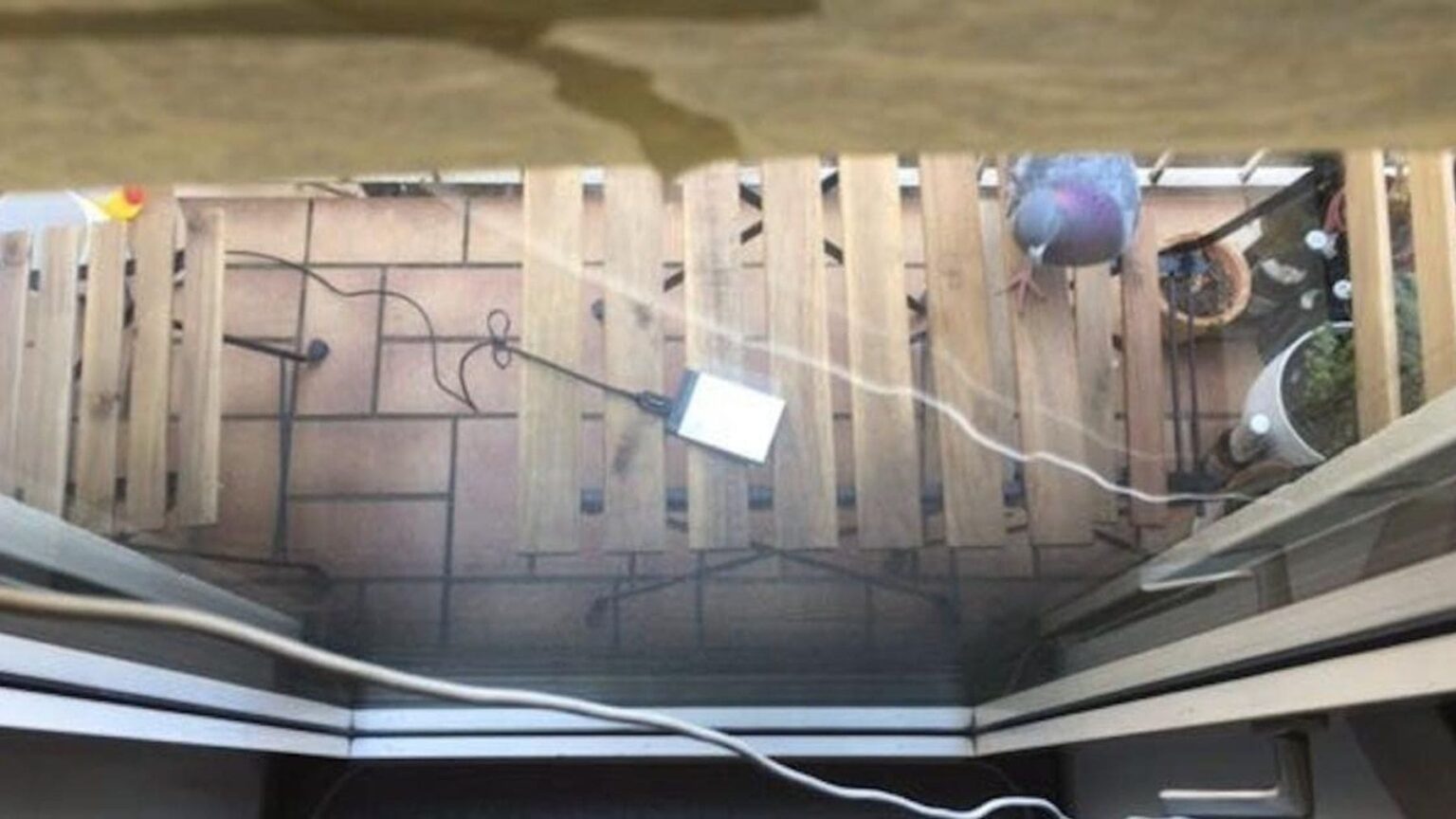 Harto de que las palomas destrozaran su balcón, un hombre construyó un ...
