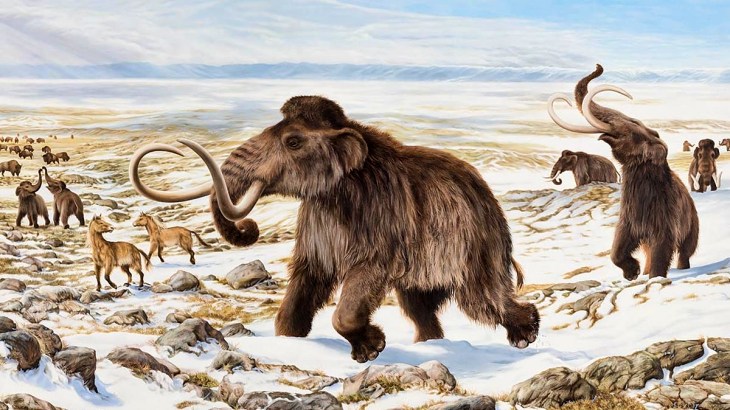 Cuándo y dónde murió el último mamut sobre el Planeta Tierra