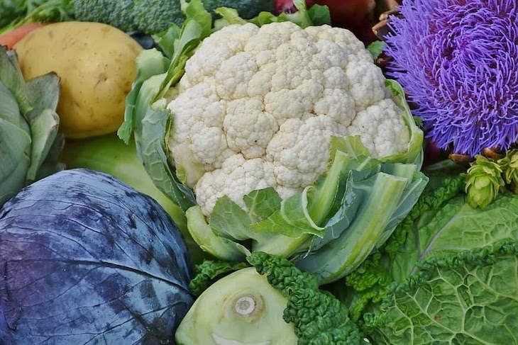 5 crucíferas ecológicas imprescindibles