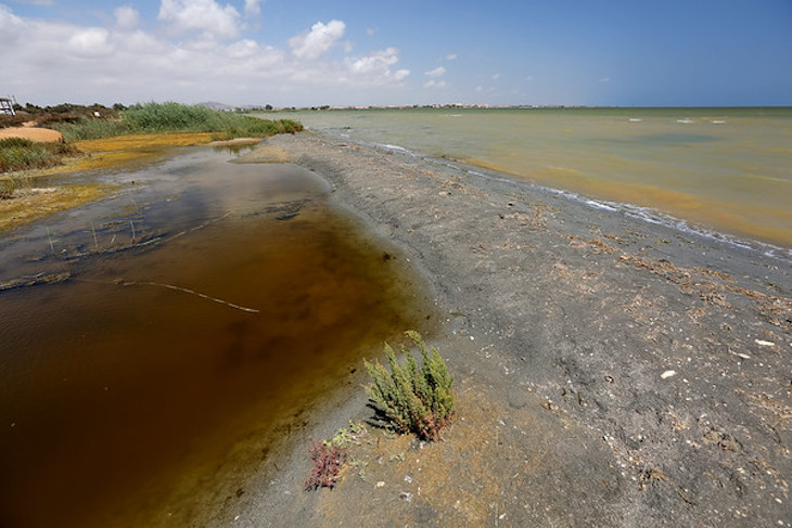 Catástrofe ambiental y social en el Mar Menor