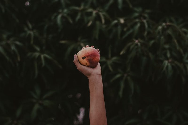 Si quieres ir al baño puntual como un reloj toma Mango en tu dieta ...