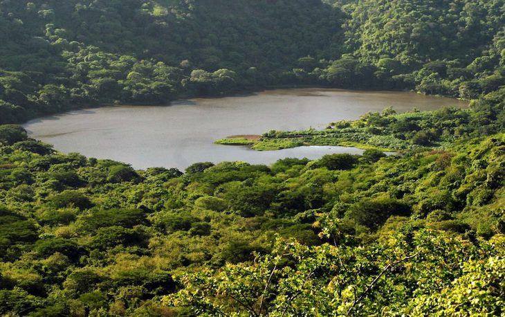 Colombia, anfitrión del Día Mundial del Medio Ambiente 2020