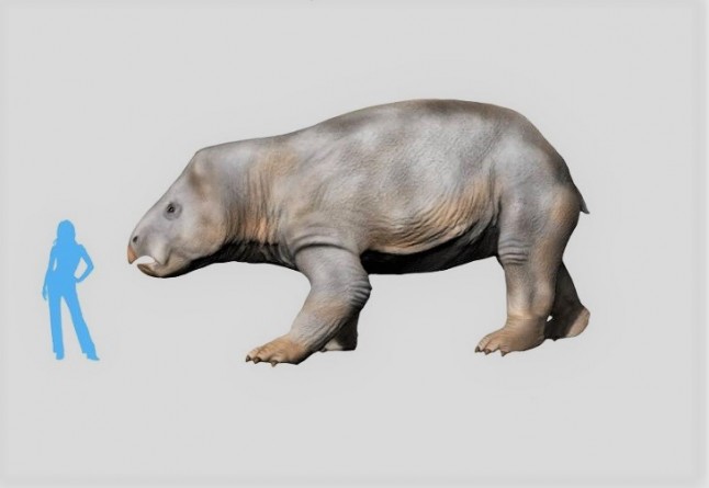 Conoce a Lisowicia bojanini, un primo gigante de los mamíferos