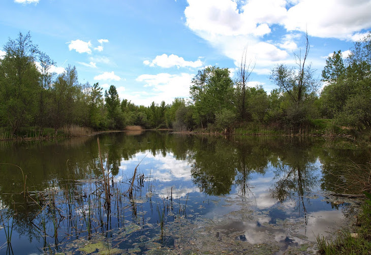 El río Jarama es un auténtico ‘vertedero’