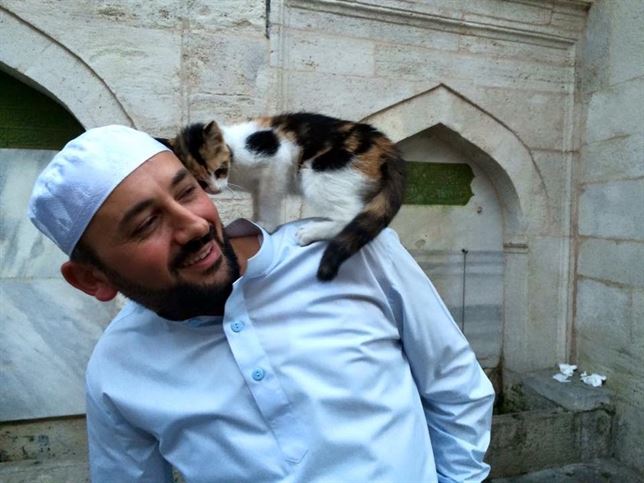 Gatos ‘rezando’(Vea VIDEO)