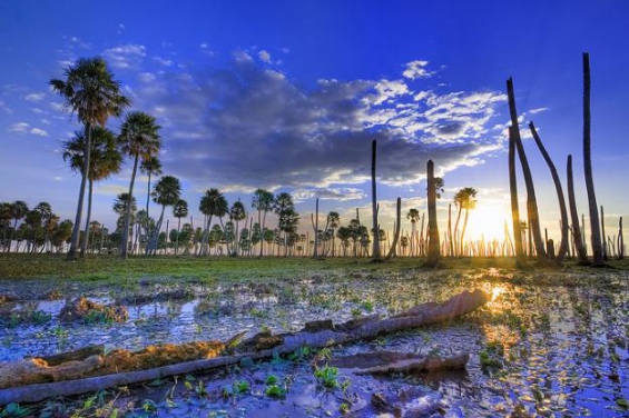 Argentina: El parque nacional Iberá suma 42 mil hectáreas