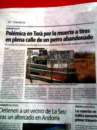 El teniente de Alcalde de Torà (Lérida), disparara a un perro atado a ...