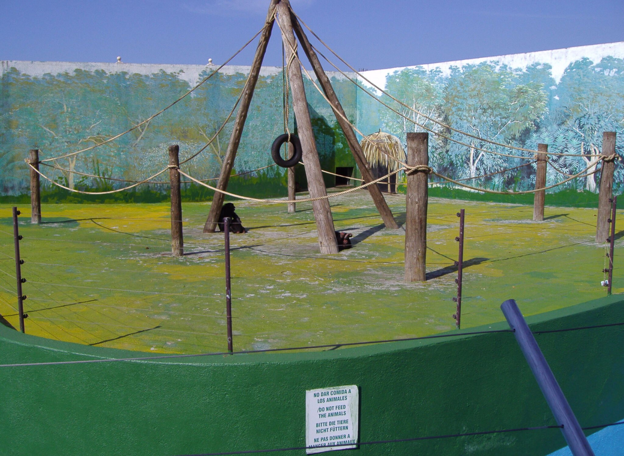 Proyecto gran simio felicita la labor del servicio de protección de la ...