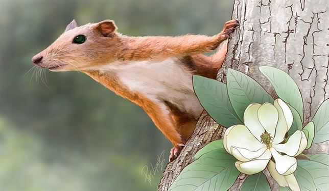 Los primeros primates vivían en los árboles hace 65 millones de años