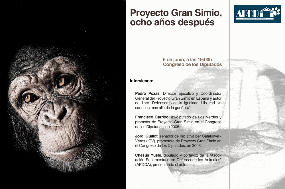 Proyecto Gran Simio, ocho años después