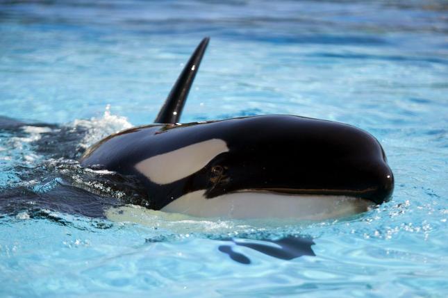 Jean-michel cousteau y su equipo de científicos se unen a la campaña ...
