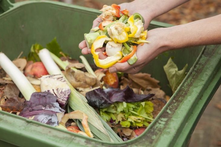 Consume alimentos ‘feos’, pero sanos