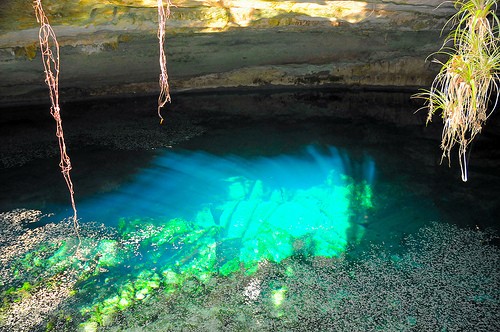 Bahamas propondrá a la Unesco reservas de la biosfera