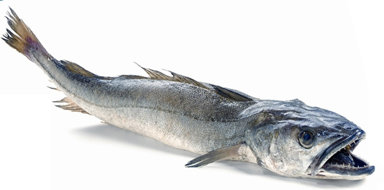 España no acepta reducir un 60,5% capturas de merluza del Sur