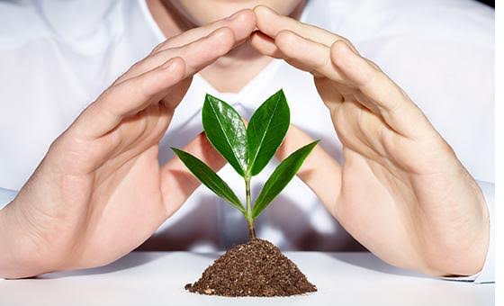 Aprende a gestionar de manera sostenible el ambiente con Fondo Verde y ...