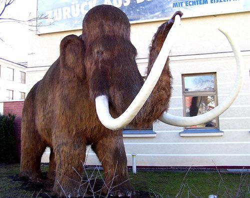 Un meteorito no acabó con el mamut y el oso gigante