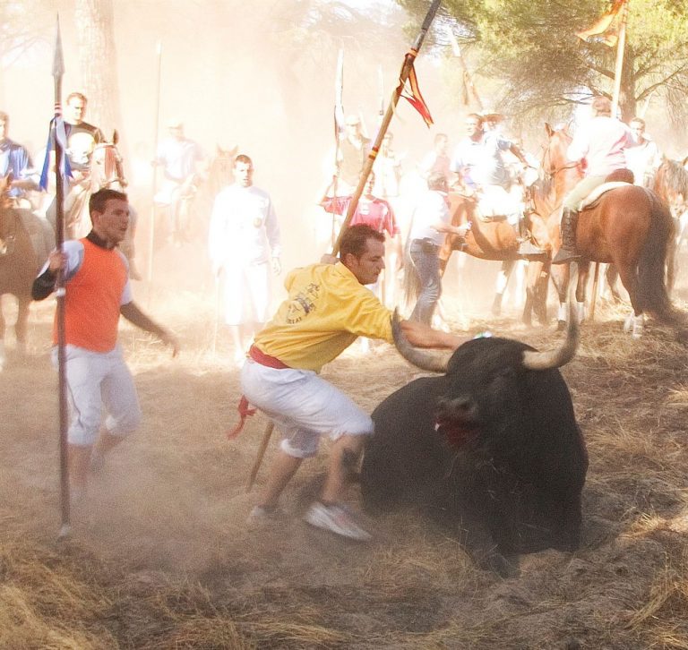 El Toro de la Vega seguirá sufriendo