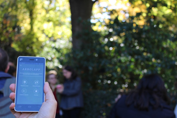 Novedades en ‘Arbolapp’, la app gratuita para identificar árboles