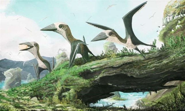 Un pterosaurio diminuto y volador de hace 77 millones de años