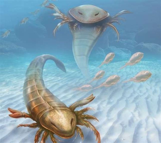 Descubre al ‘Pentecopterus’
