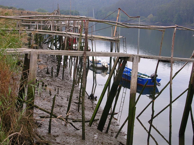 Asturias sigue apostando por acabar con la angula y con la anguila otro ...