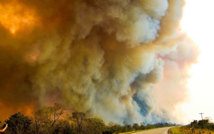 Crowdfunding para ayudar a extinguir el incendio del Amazonas ...