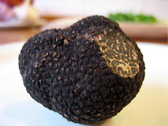 El Centro de los Alimentos analizará la composición y características ...