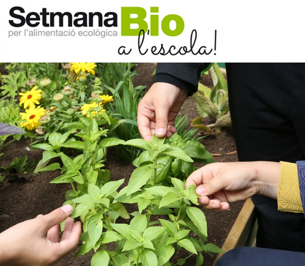 CATALUNYA Se celebra la Setmana Bio a l´escola