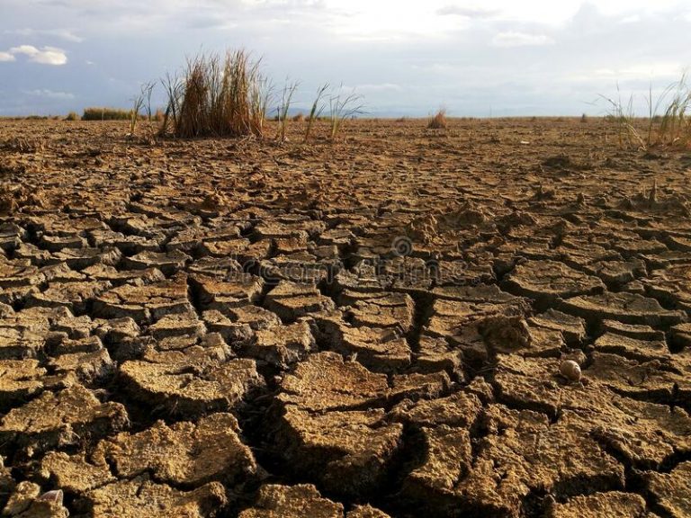 La desecación de humedales con fines agrícolas