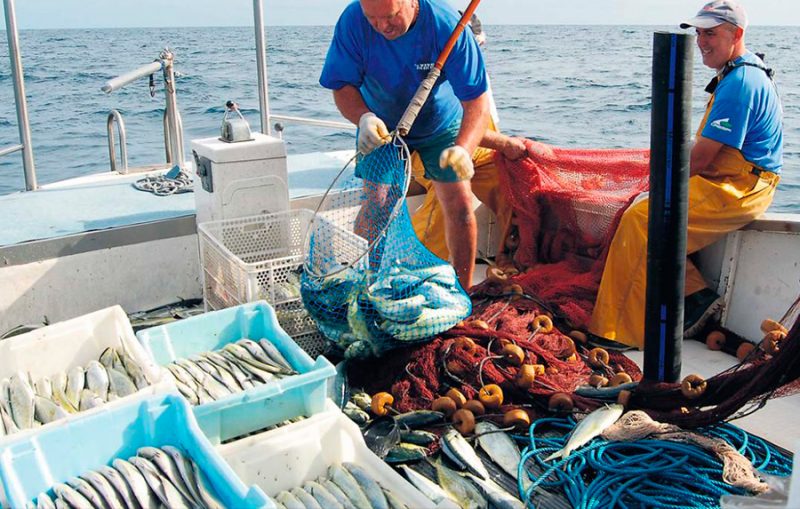 Vetar la pesca en 87 áreas del Atlántico