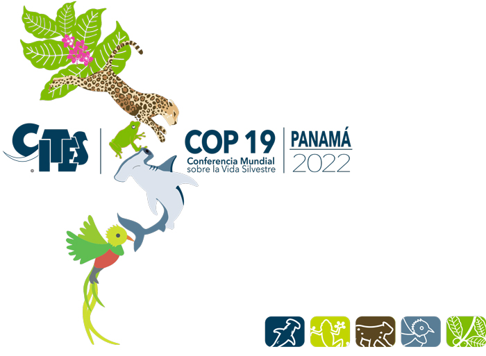 COP19 de CITES: tiburones y rayas