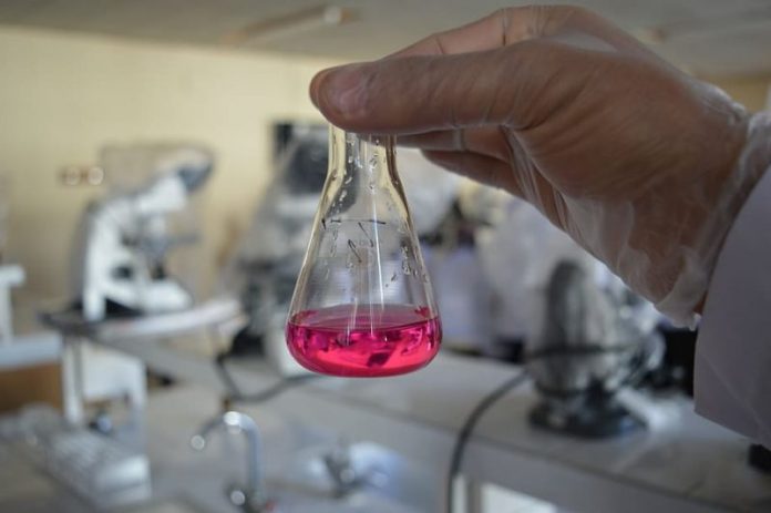 ¿Cómo optimizar la Enzima que descompone el plástico PET?