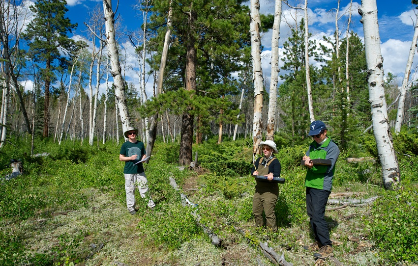 William Anderegg recibe al Alan T Waterman Award
